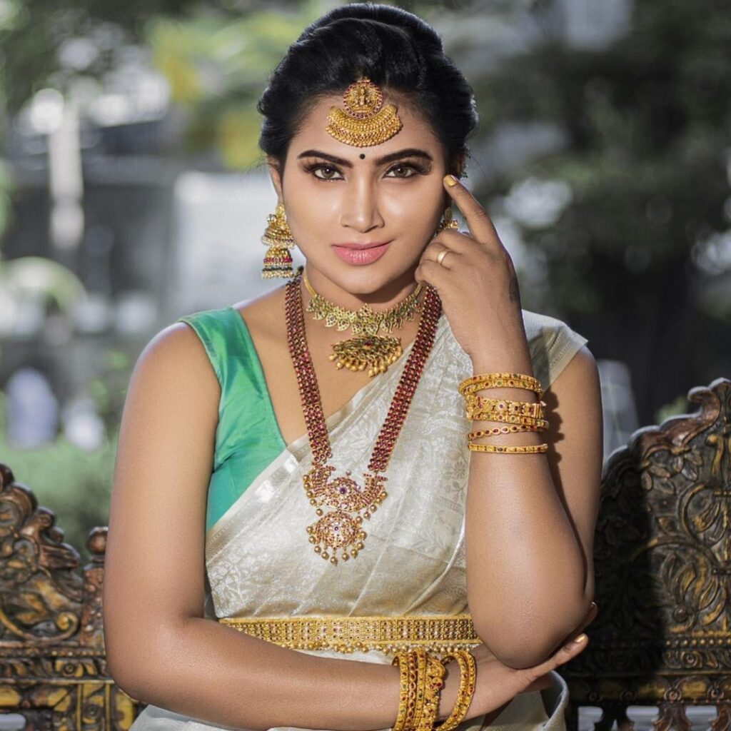 Myna Nandhini (Bigg Boss Tamil 6) Age, Husband, Family, Serials List ...