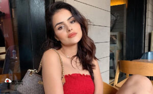 Priyanka Chahar Choudhary (Bigg Boss 16) Age, Husband, Family, Serials ...